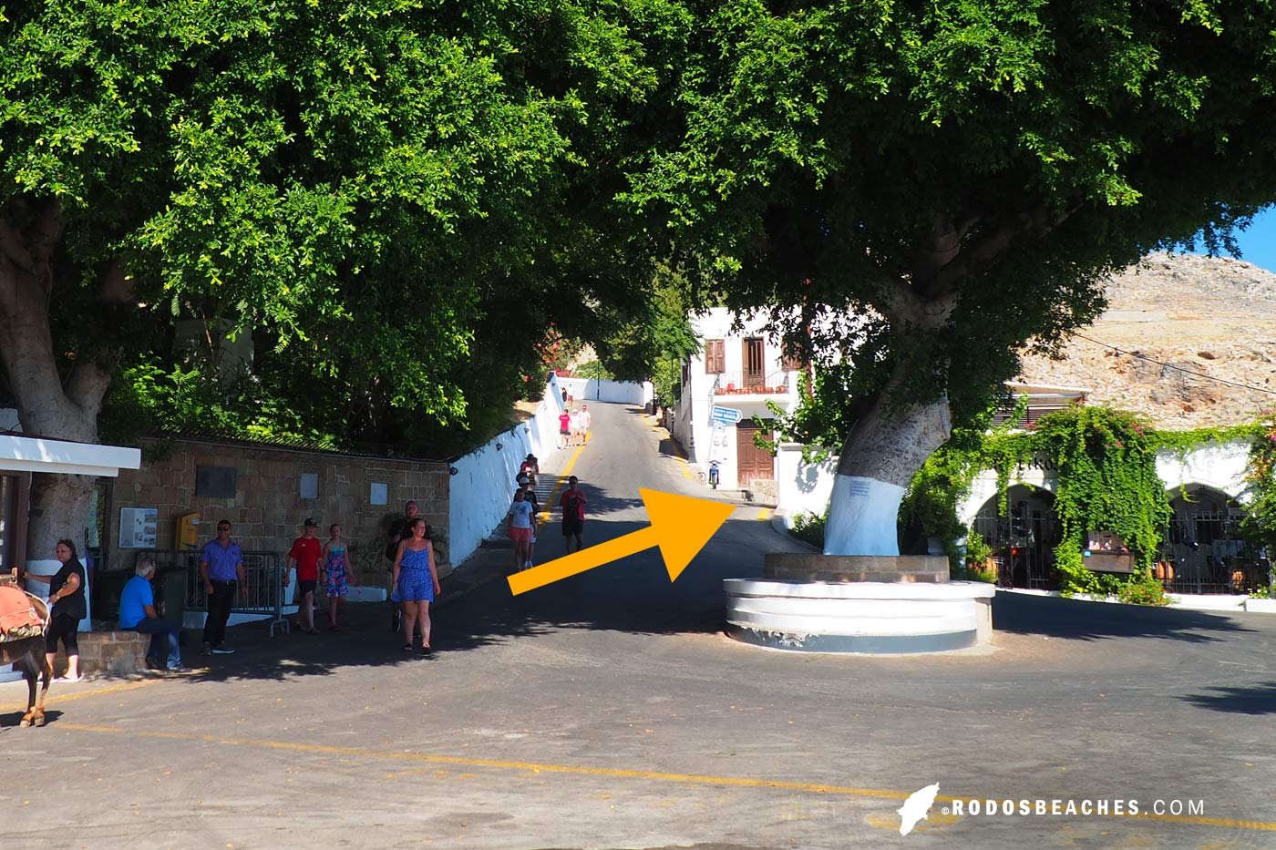 Lindos beach | Guide to the best beach of Lindos, Rhodes